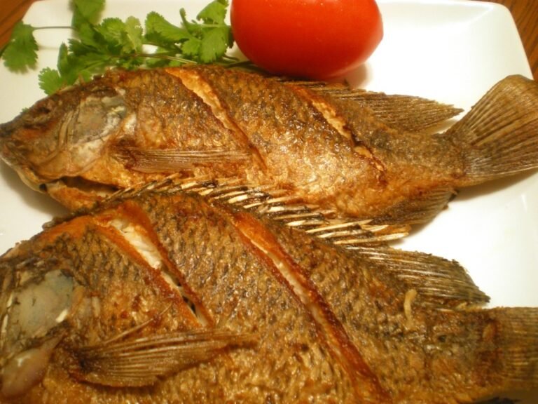 Why Tilapia is the Perfect Choice for Your Next Meal - nyanam-fish.com